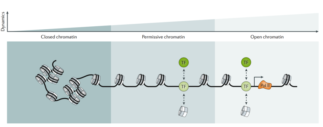 文献丨多组学大数据构建小麦穗发育转录调控网络，TRN+GWAS挖掘关键转录调控 - 我的网站