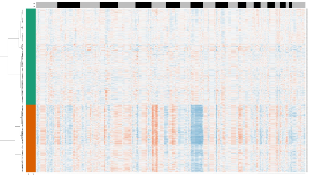 服务器丨Linux安装测试单细胞分析软件copykat，遇到的常见报错与解决思路与方法 - 我的网站